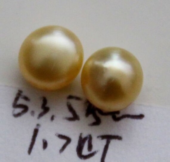 Natural Wild Pteria Penguin Oyster Pearl Saltwater Ro… - Gem