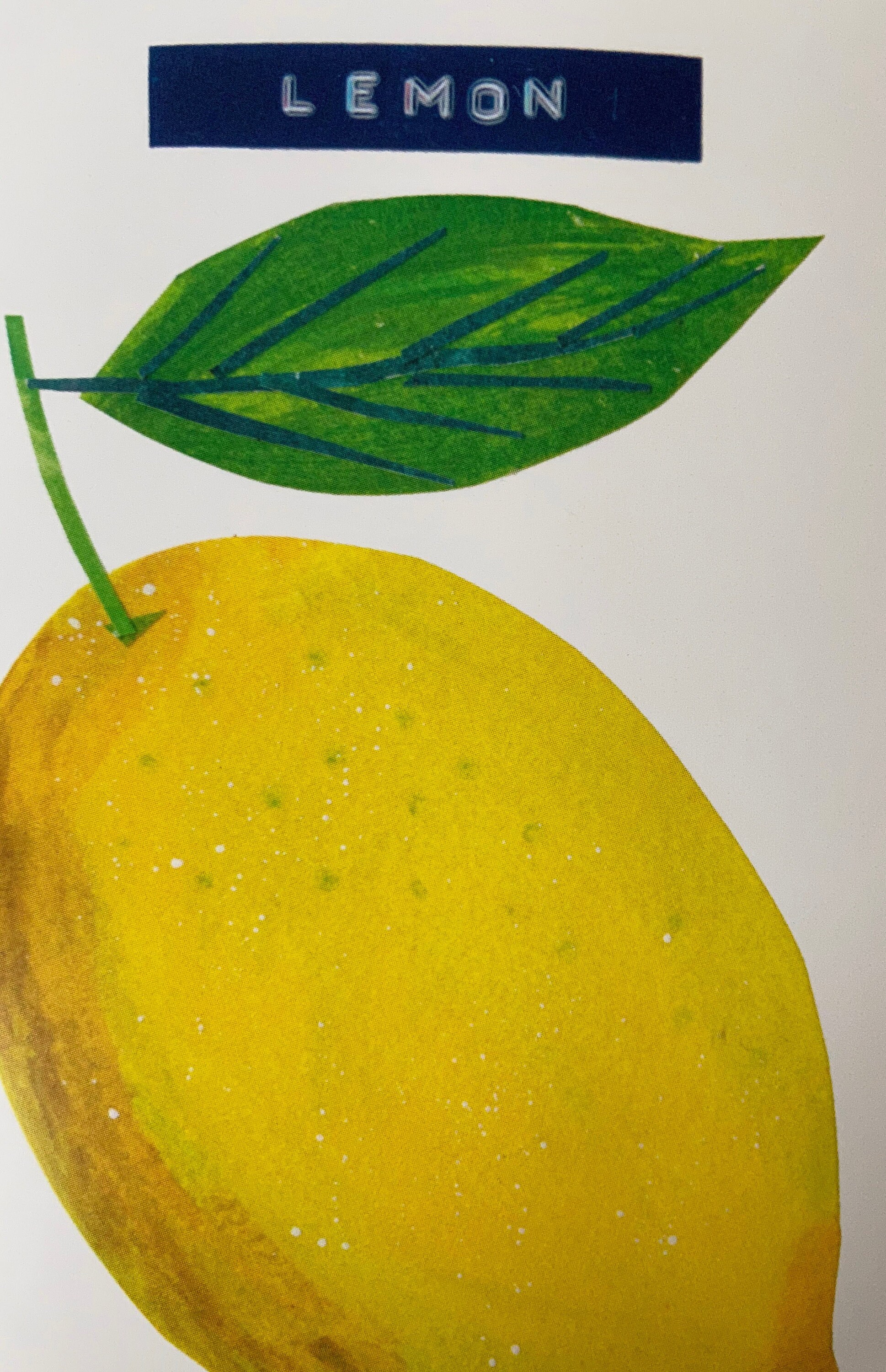 Lemon Design Greeting Card - Etsy UK