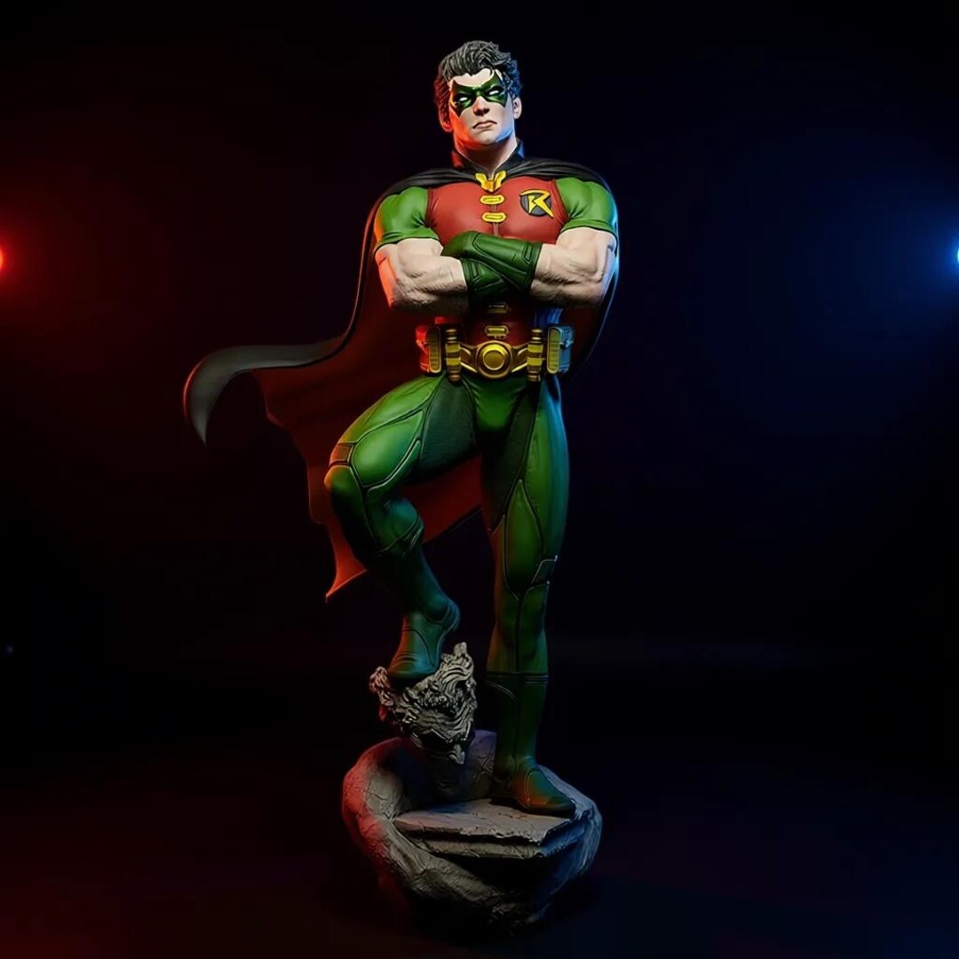 Robin STL 1:6 Scale 3D Model - Etsy