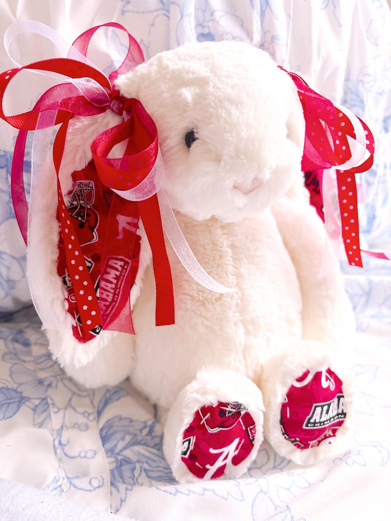 Custom College Jellycat Stuffed Bunny | Grad Gift for Seniors | College ...