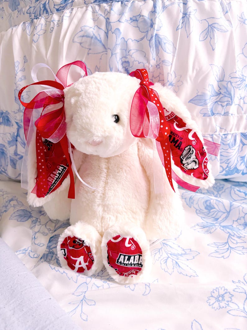Custom College Jellycat Stuffed Bunny | Grad Gift for Seniors | College ...