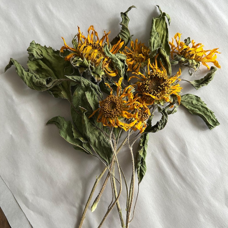 Dried Sunflower Wreath - Etsy