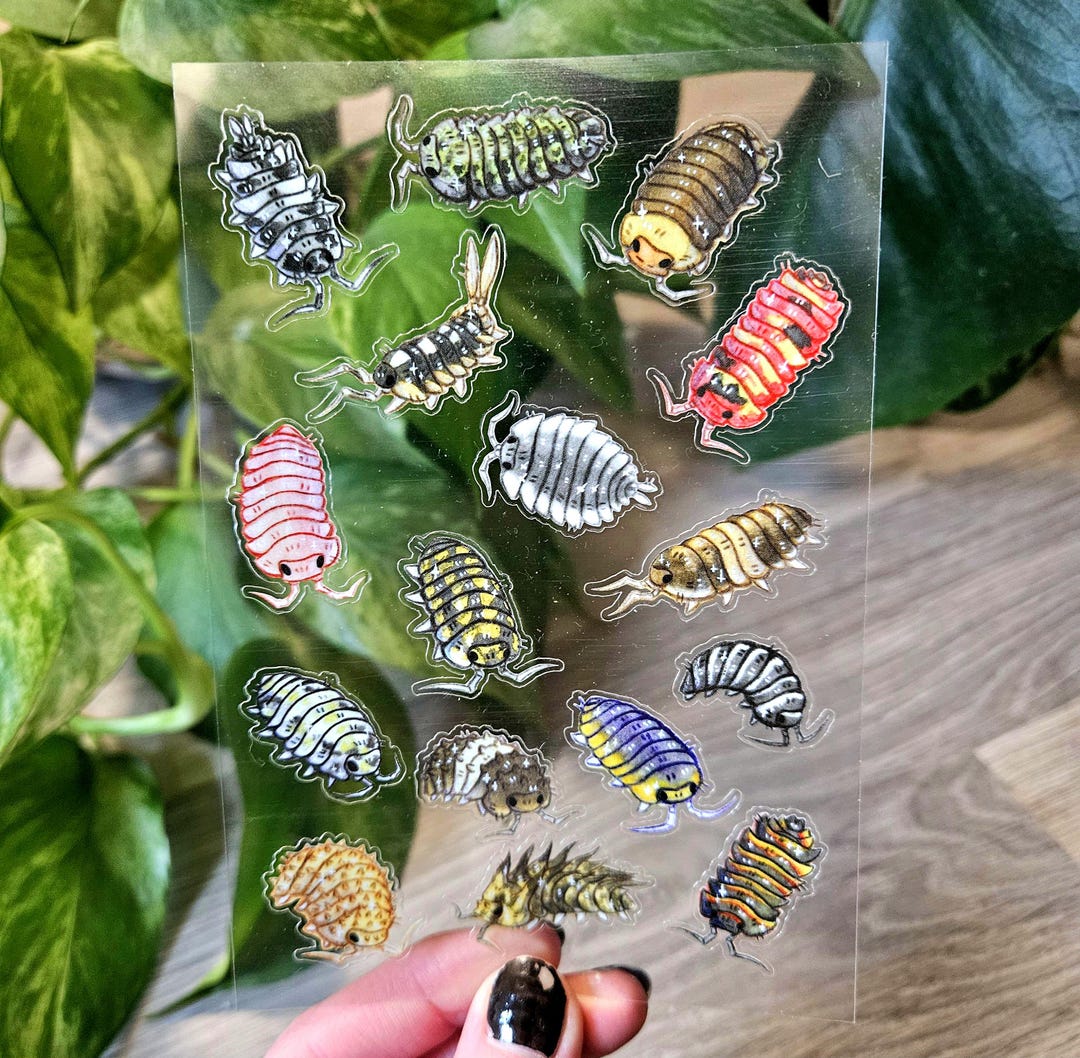 Isopod Transparent Stickers Sheet - Etsy