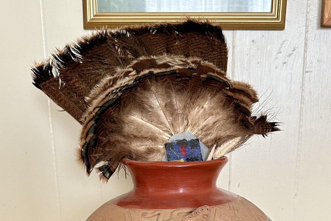 Vintage Native American Feather Fan, Ceremonial Feather Fan - Etsy