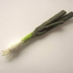 Spring Onion Crochet Pattern, Scallion Crochet Pattern, Onion Amigurumi ...