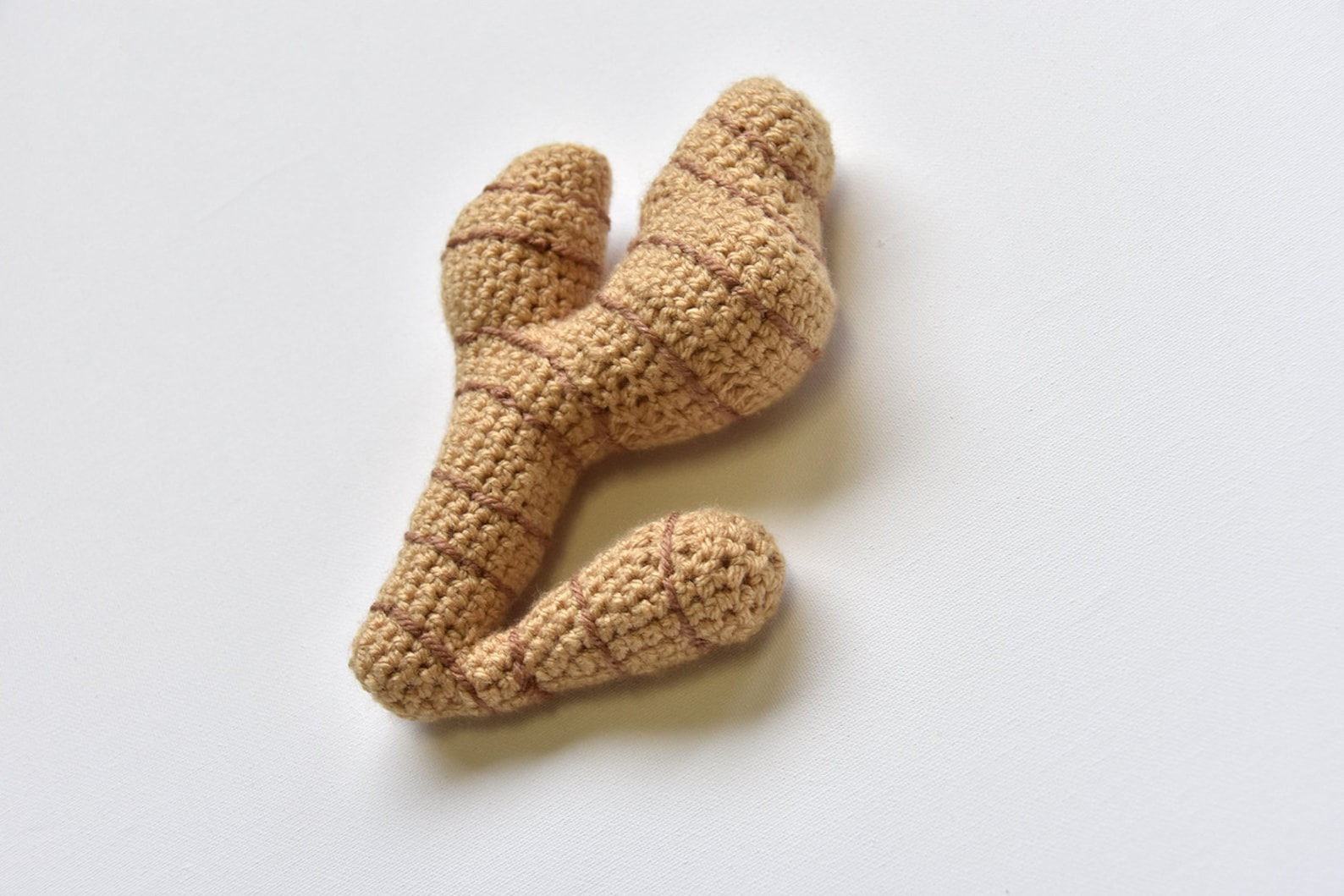 Ginger Crochet Pattern Ginger Root Crochet Pattern Ginger - Etsy