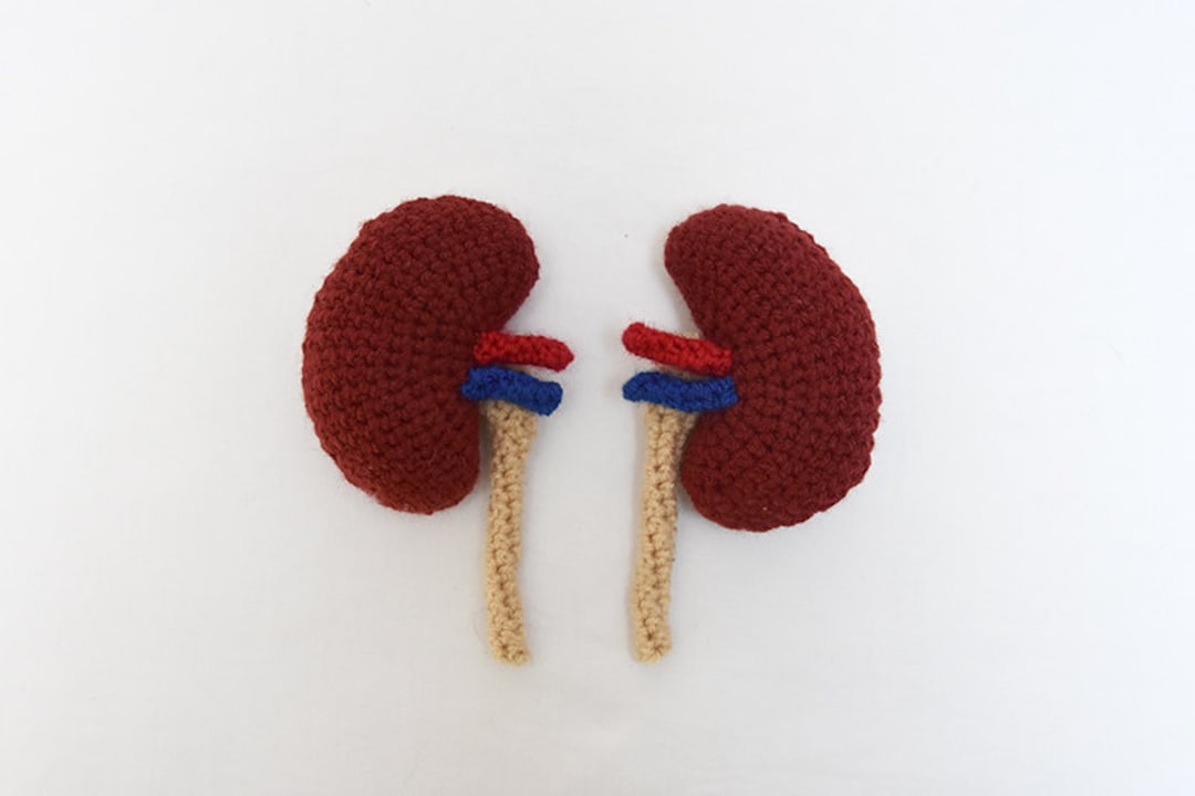 Kidneys Crochet Pattern, Kidney Crochet Pattern, Kidney Amigurumi ...