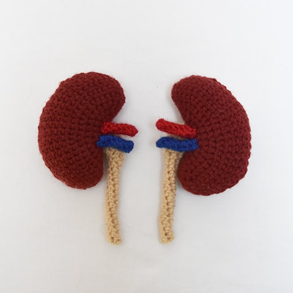 Kidney Pattern - Etsy