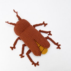 Cockroach Crochet Pattern - Amigurumi Cockroach - Roach Crochet Pattern ...