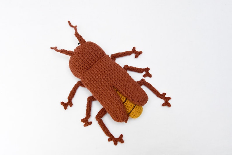 Cockroach Crochet Pattern - Amigurumi Cockroach - Roach Crochet Pattern ...