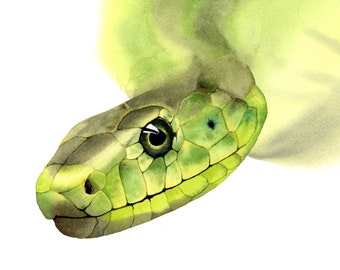 Watercolor Snake - Etsy