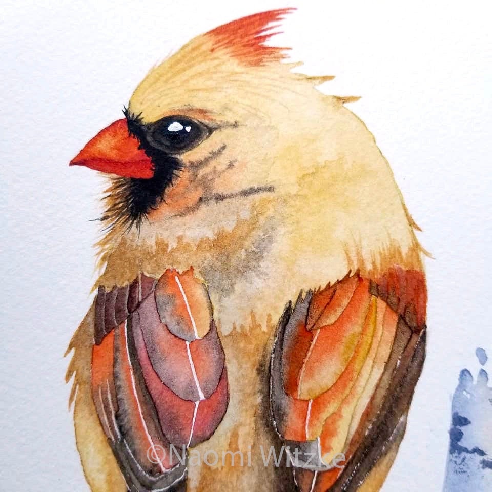 Female Cardinal Watercolor Art Print: Bird Lover Gift - Etsy UK