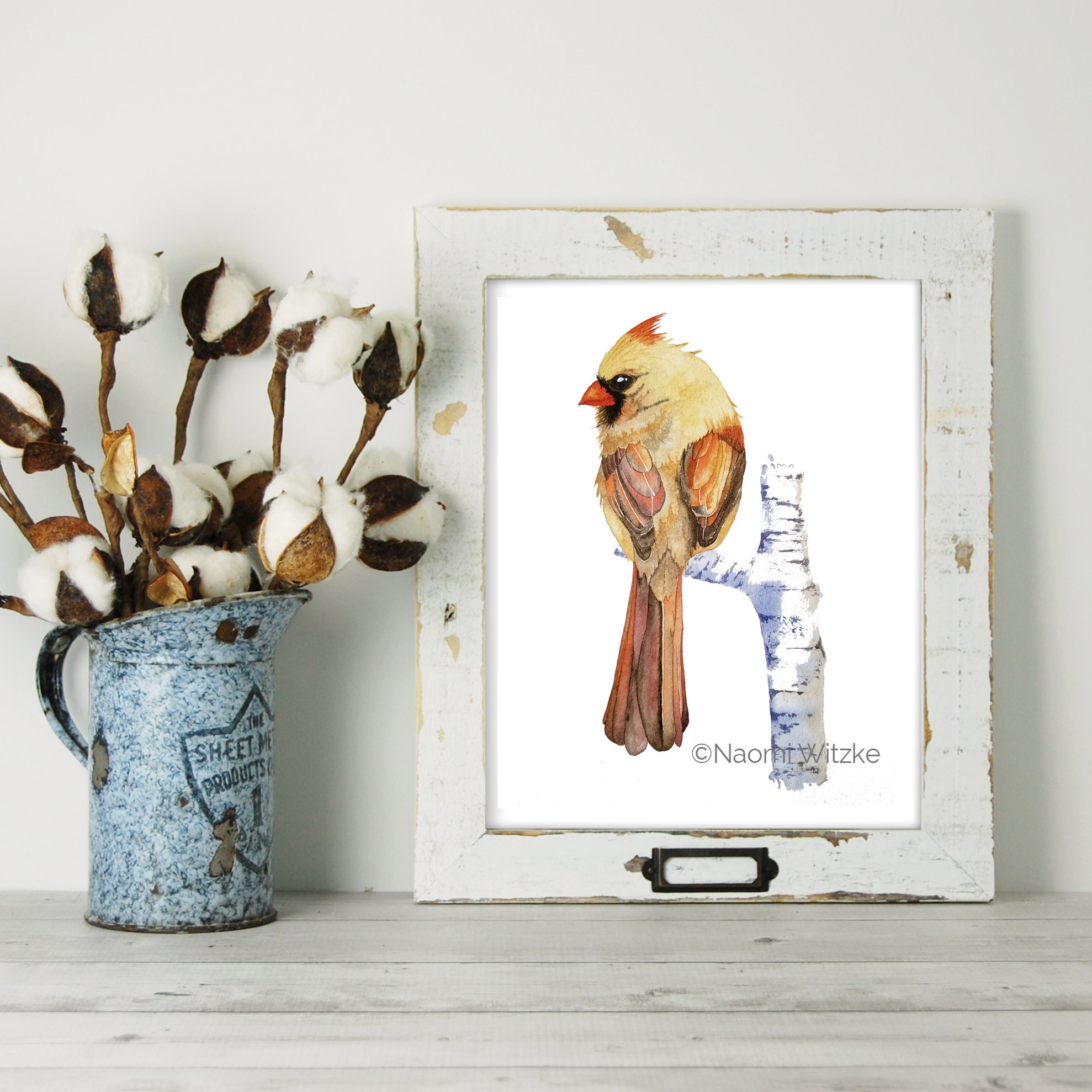 Female Cardinal Watercolor Art Print: Bird Lover Gift - Etsy UK