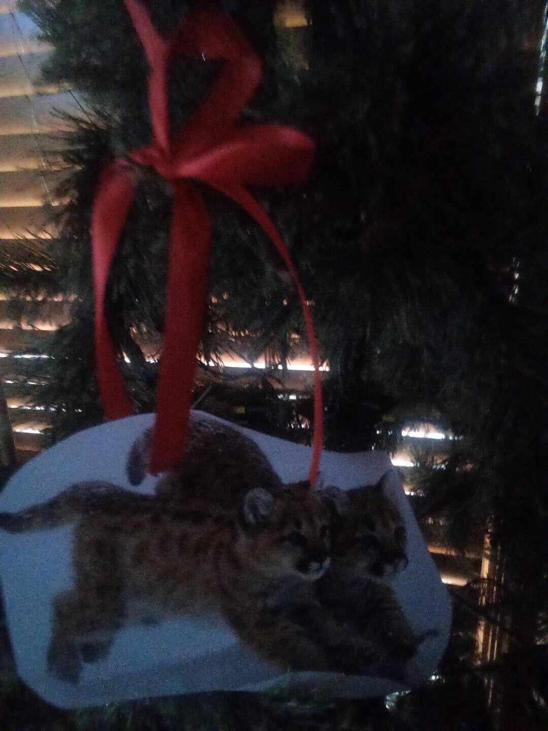 Beautiful Bobcats Christmas Handmade Ornament - Etsy