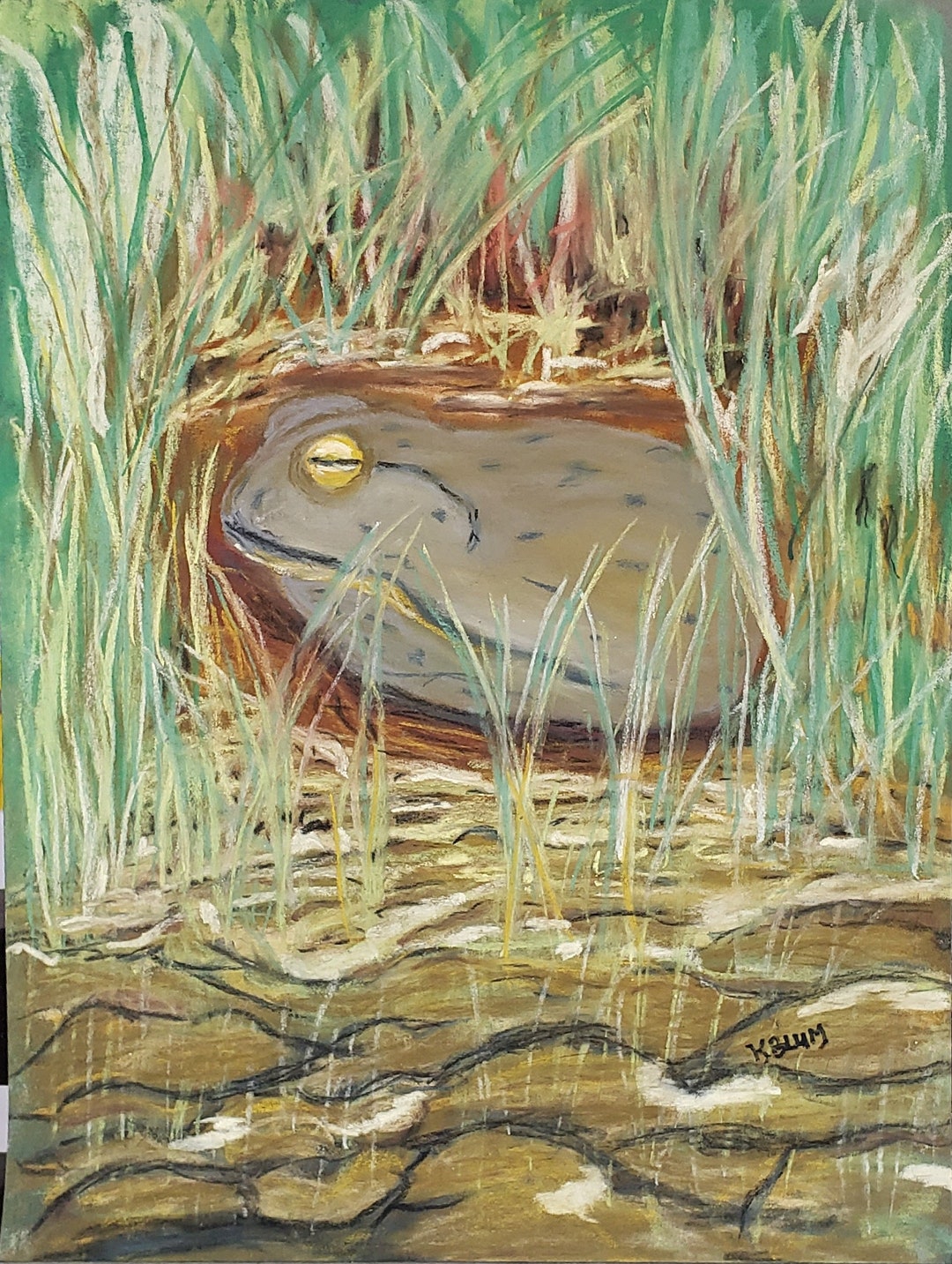 Original Pastel Painting 'toad in the Pond' 9.5 X 12 - Etsy