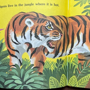 THE TIGER BOOK Vintage Children’s Book - Etsy