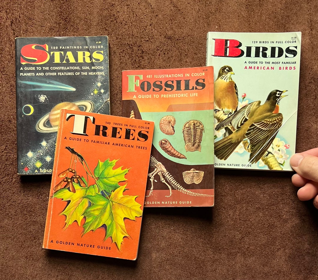 Vintage Golden Nature Guide Books - Etsy