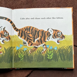 THE TIGER BOOK Vintage Children’s Book - Etsy