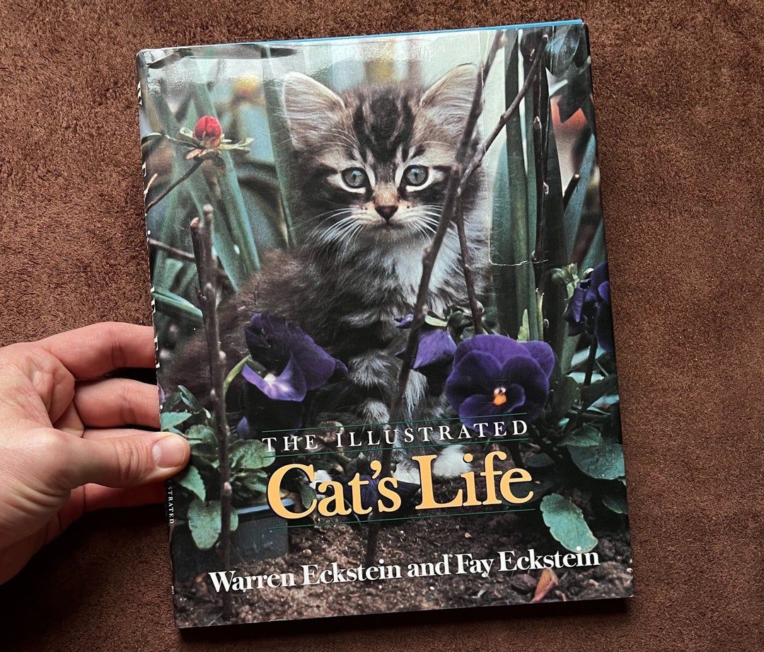 80s 90s Book the Illustrated Cat's Life - Etsy
