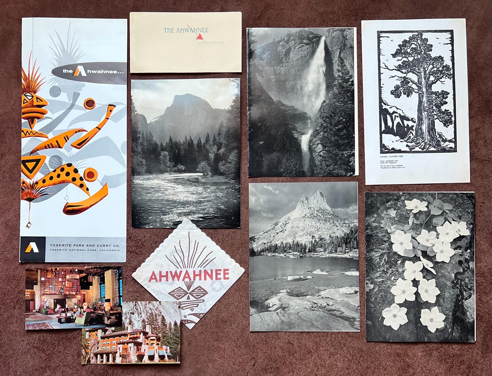 YOSEMITE National Park 50s 60s AHWAHNEE Lodge Memorabilia - Etsy
