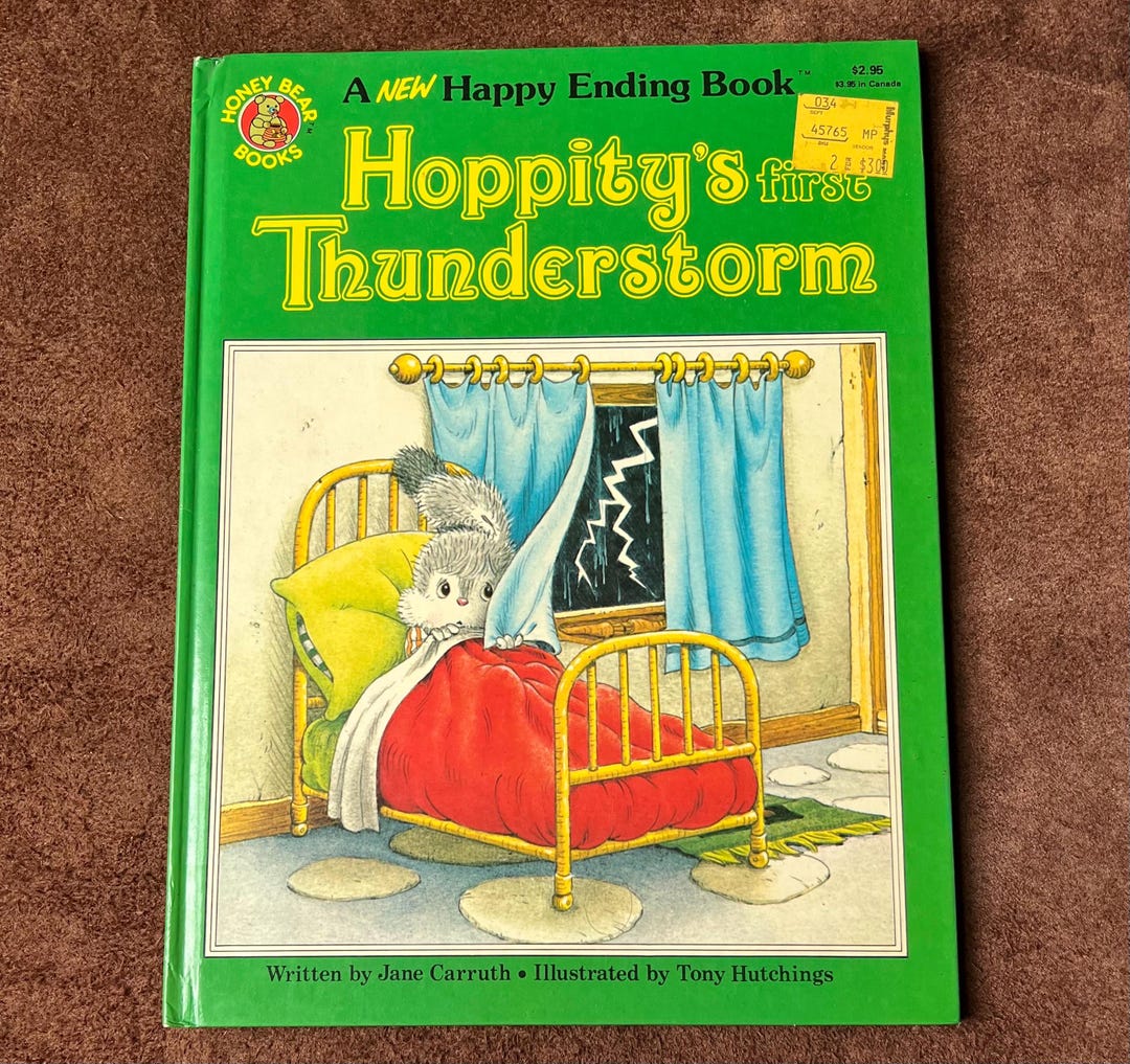 HOPPITY’S FIRST THUNDERSTORM - Vintage 1980s Hardcover Childrens Book ...