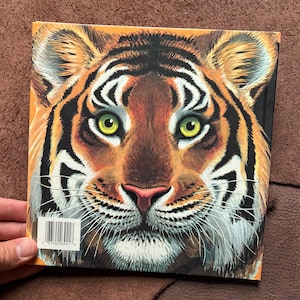 THE TIGER BOOK Vintage Children’s Book - Etsy
