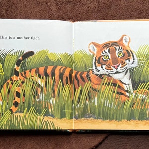 THE TIGER BOOK Vintage Children’s Book - Etsy