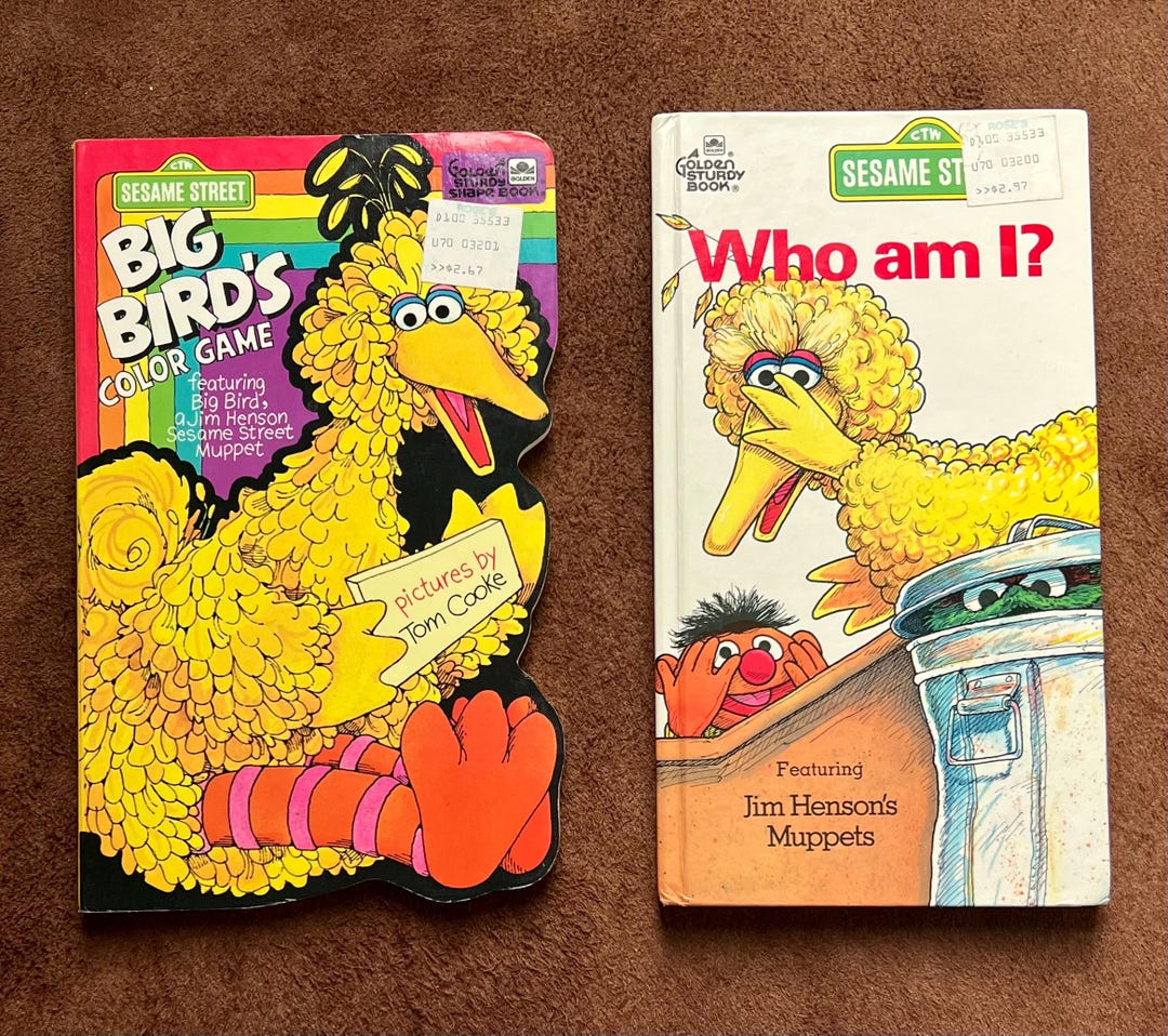 1980s Big Bird SESAME STREET Kids Books - Etsy