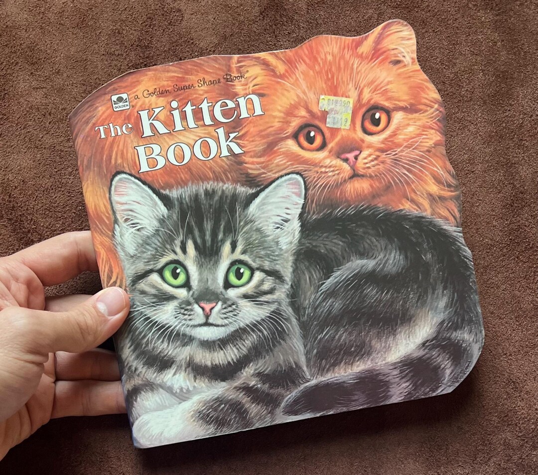 THE KITTEN BOOK Vintage 60s Cute Childrens Book - Etsy