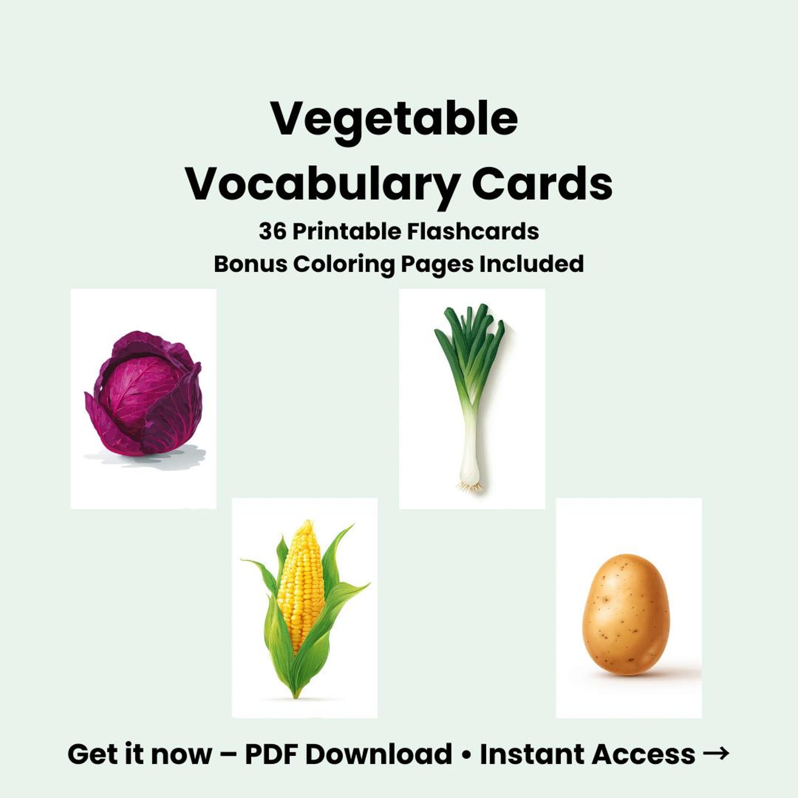 Vegetable Flashcards Printable for Kids, Montessori Learning Cards ...