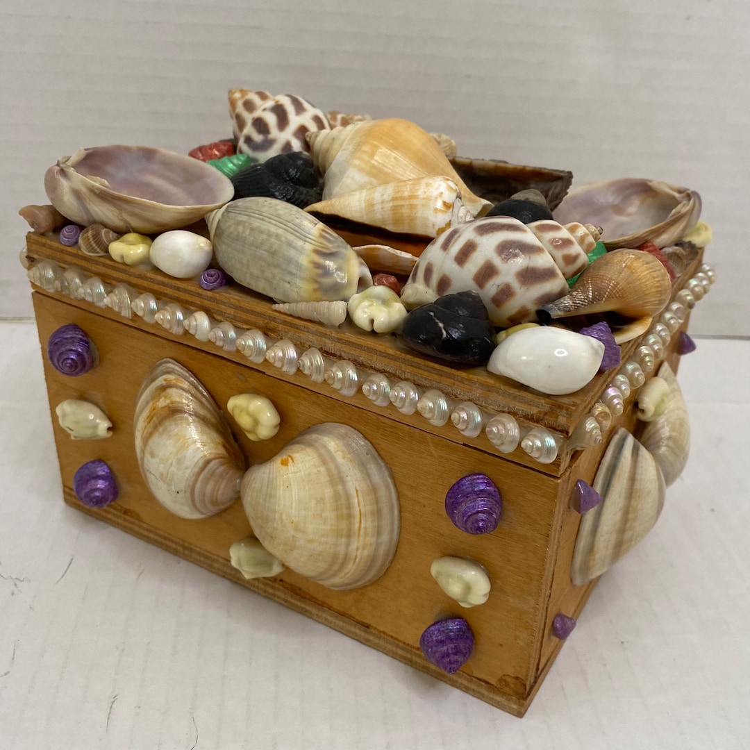 Seashells Jewellery Box Vintage 1970s British Seaside Shell Covered ...