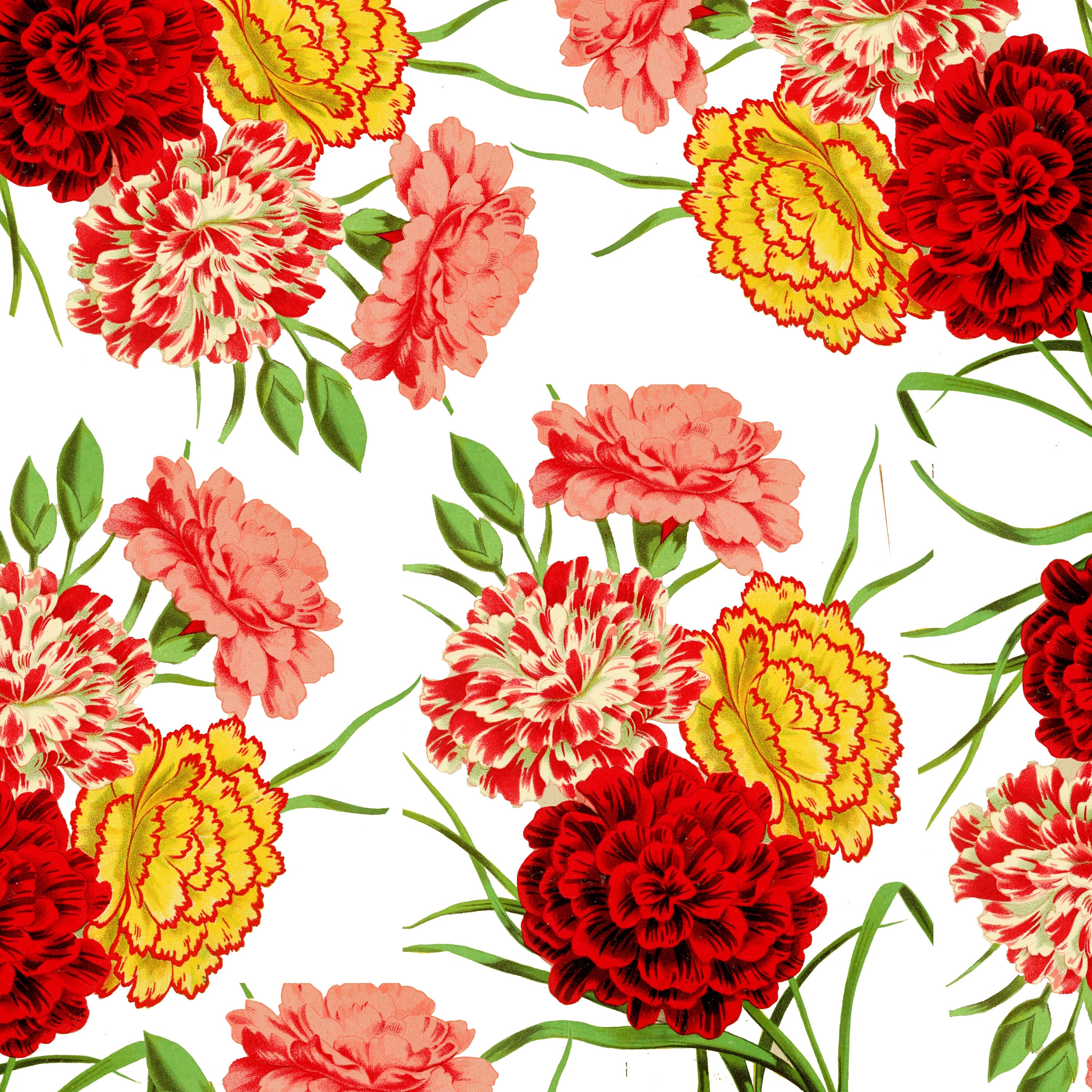 Mexican Digital Paper Featuring Fiesta Style Cinco De Mayo, Frida Kahlo ...