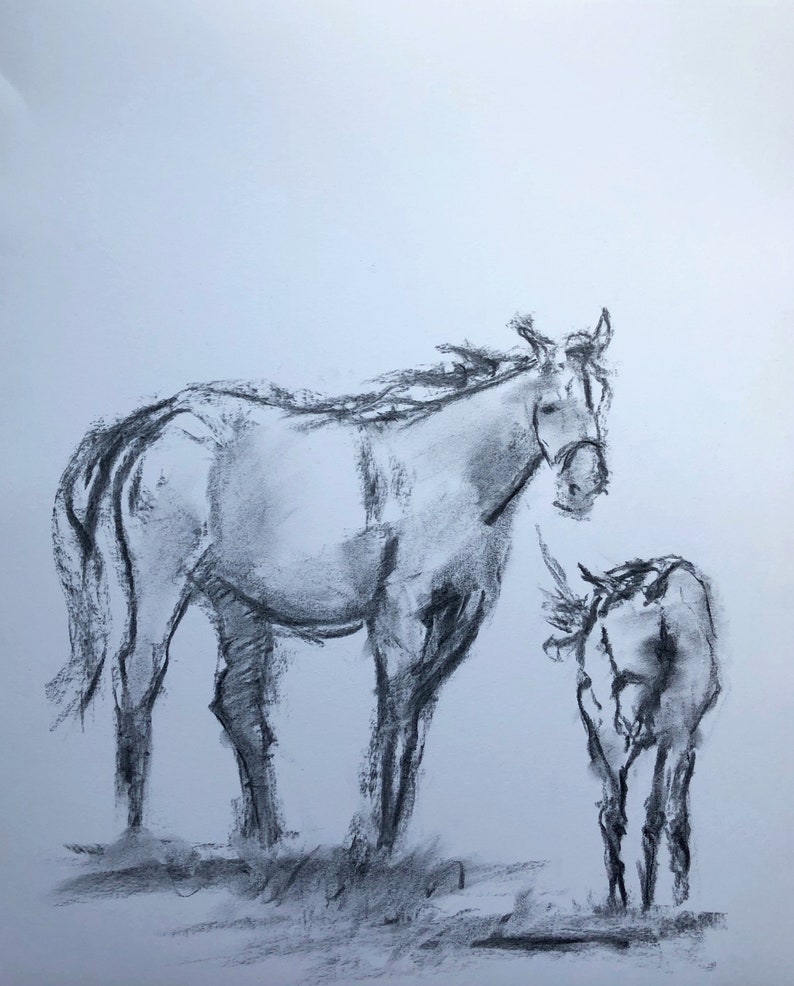 Original Charcoal Drawing Horse Sketch Mare and Foal | Etsy