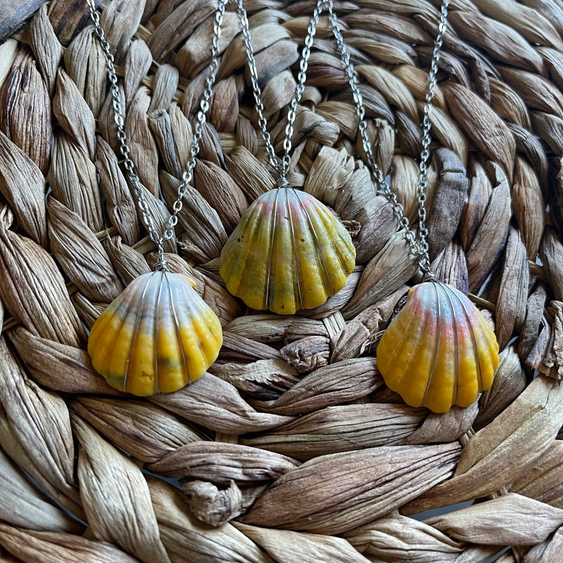 Sunrise Shell Necklace - Etsy