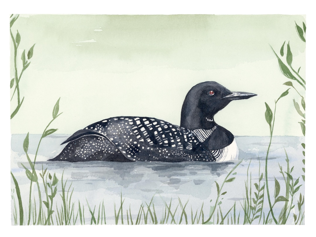 Original Watercolor Loon Painting -- 100% Hand-drawn and Hand-painted ...