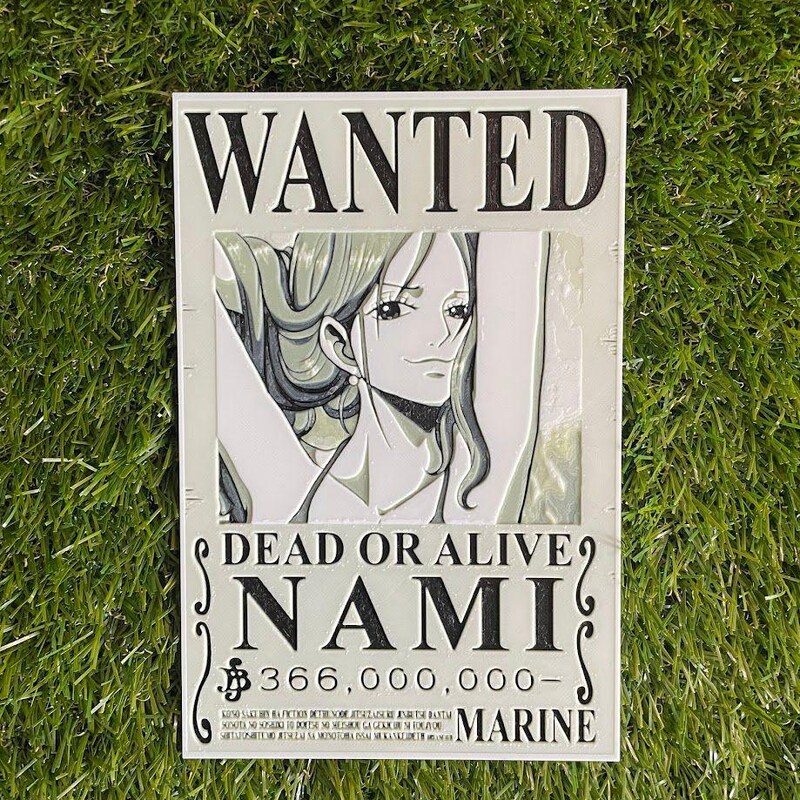 Nami Posters - Etsy