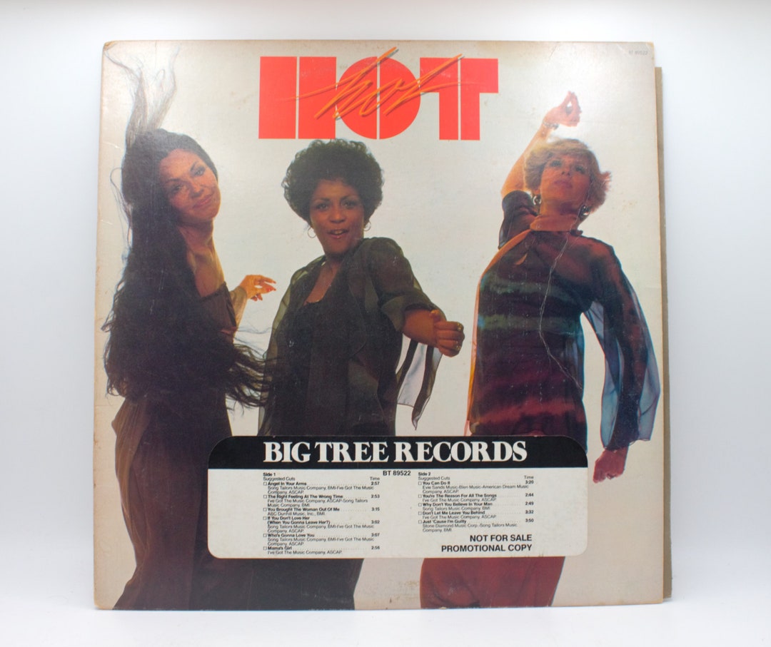 Vintage 1970s Vinyl HOT Funk Soul Disco Pop 12" Stereo LP Big Tree ...