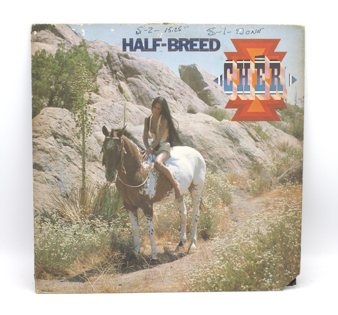 Vintage 1970s Vinyl Cher 1973 Album Half-breed Hippy Folk Rock Native ...