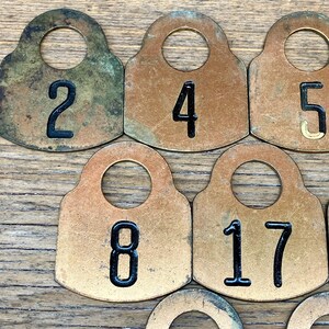 Choice of Brass Cattle Tag Numbers 2, 4, 5, 6, 8, 17, 21, 28, 29 ...