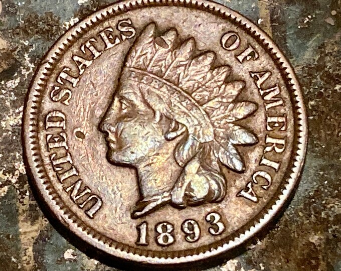 1893 Indian Head Penny Small Cent From Antique Coin Collection ...