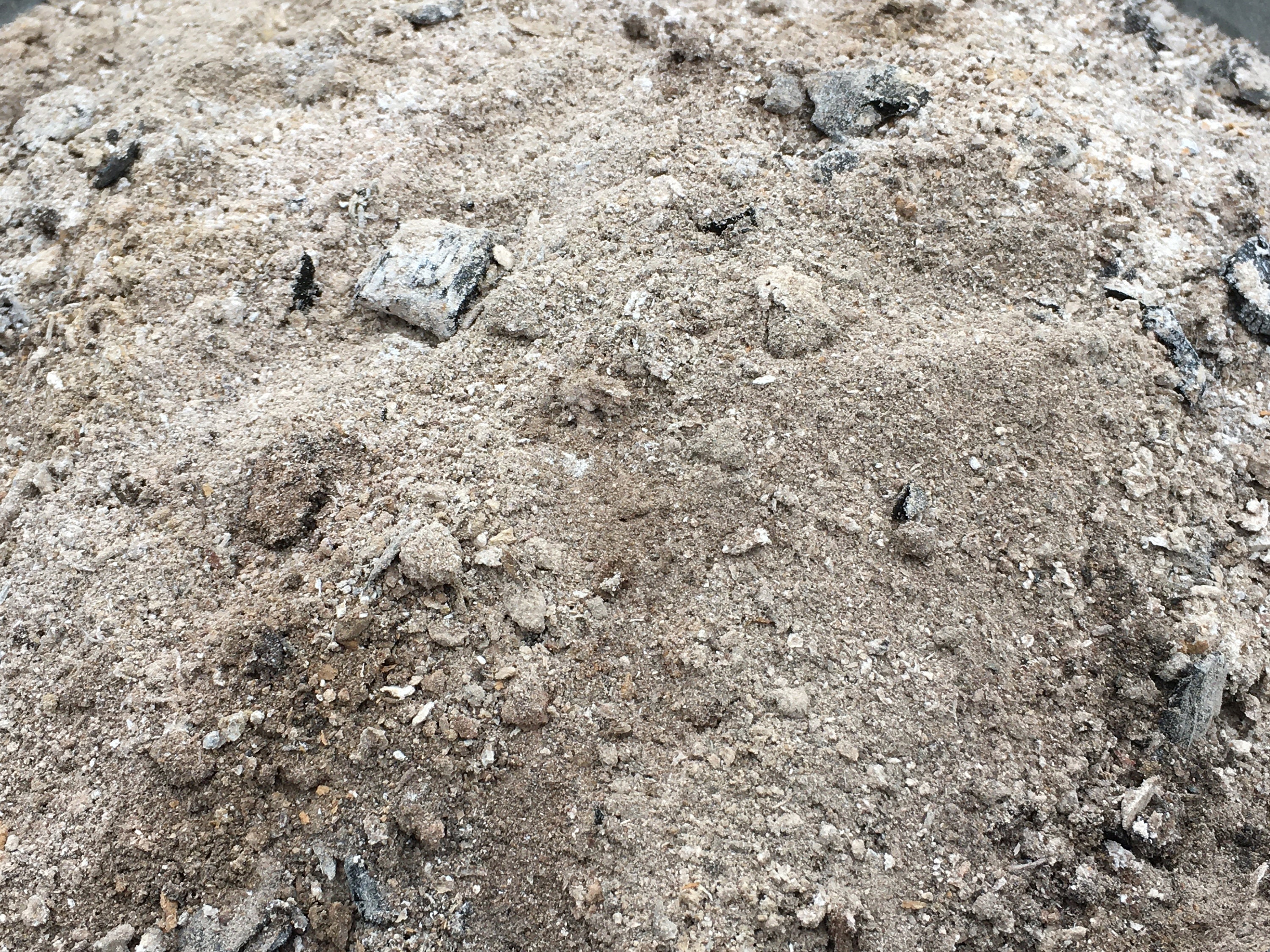 Burned Wood Ash Powder Raw Unsifted Ash Organic Gardening Composting ...