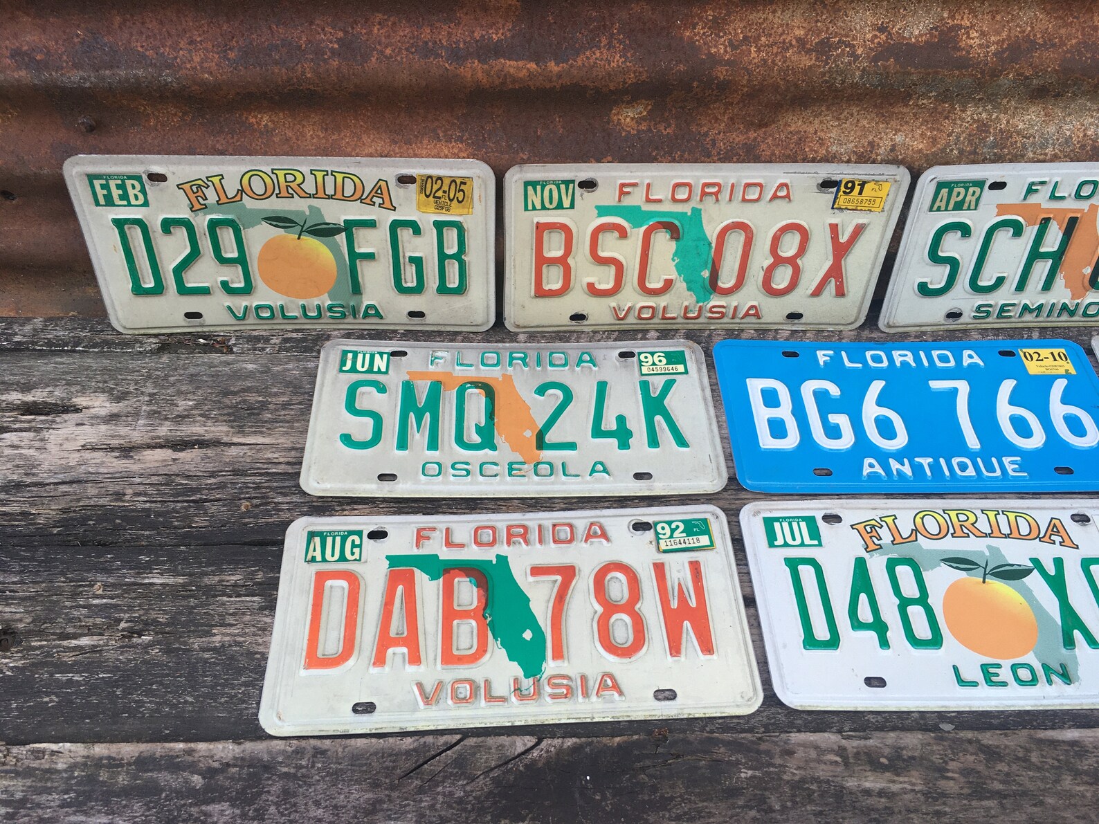 Choice Florida License Plate Volusia Seminole Lake Osceola - Etsy