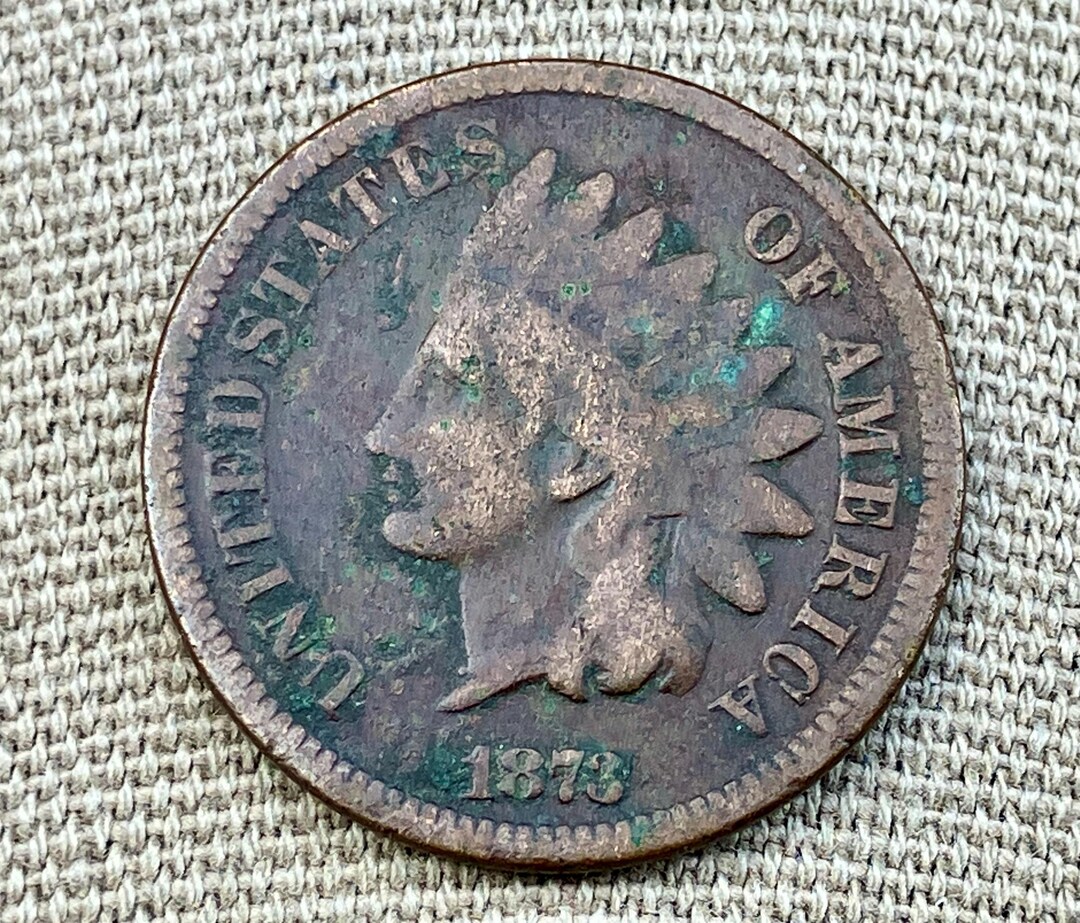 1873 Indian Head Cent Penny Small Cent Coin Numismatic Antique Coins ...