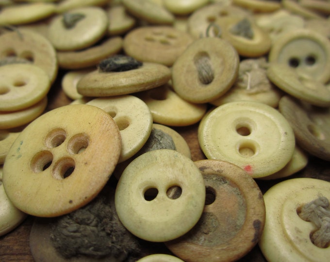 Authentic 1800s Bone Underwear Buttons for Reenactor Period - Etsy