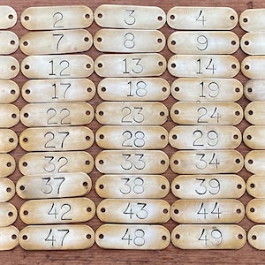 Choice of Number Tags Brass Locker Tags Drawer Tag Numbered Furniture ...