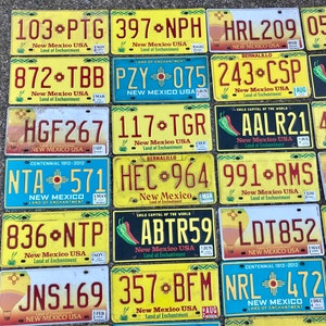 Choice of New Mexico License Plate Original S - Etsy