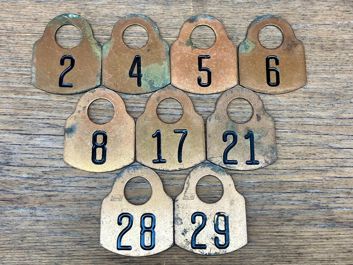 Choice of Brass Cattle Tag Numbers 2, 4, 5, 6, 8, 17, 21, 28, 29 ...