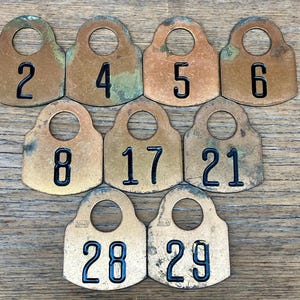 Choice of Brass Cattle Tag Numbers 2, 4, 5, 6, 8, 17, 21, 28, 29 ...