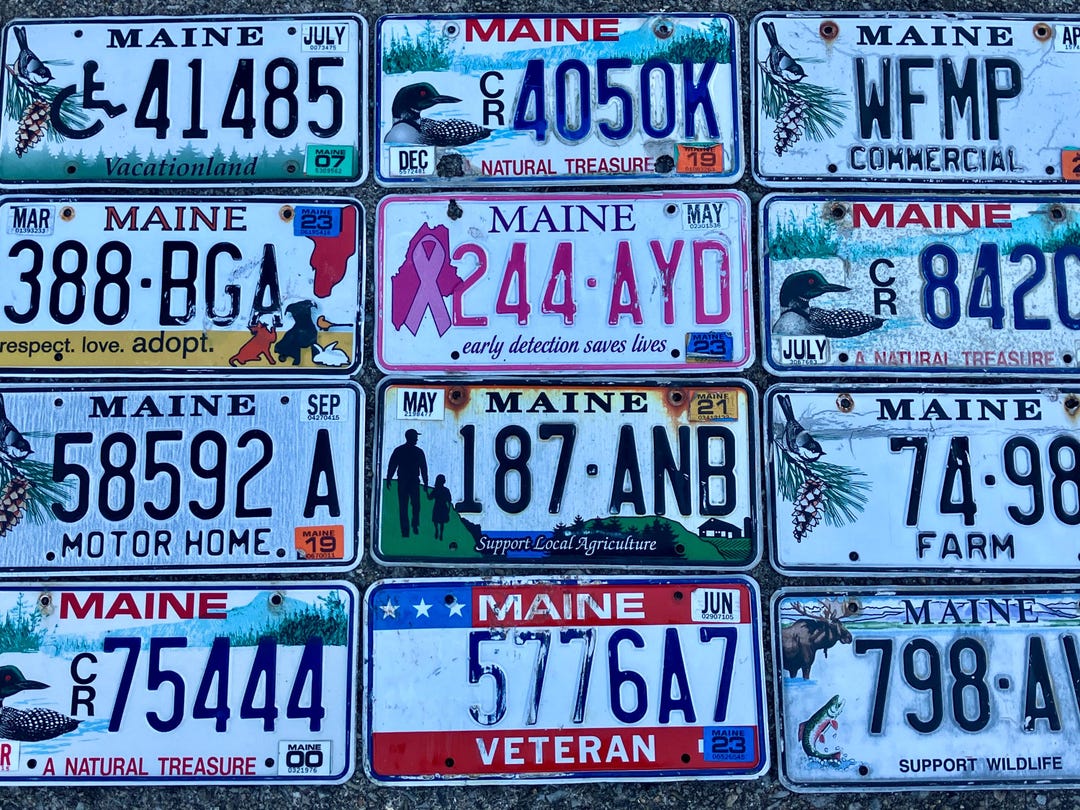 Choice of Maine License Plate Specialty Original Maine Vacationland ...