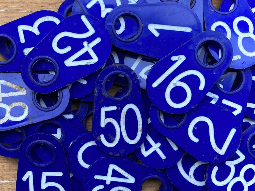 Choice of Tag Cattle Tag Blue Plastic Cow Tag Vintage Livestock Bull ...